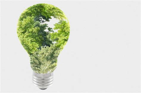 Esg 투자 지속 가능한 투자의 핵심 원칙