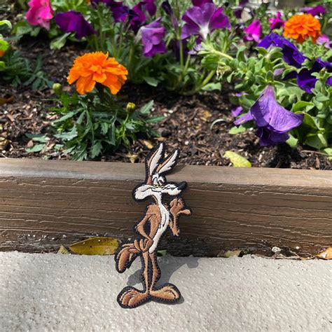 Wile E Coyote Patch Etsy