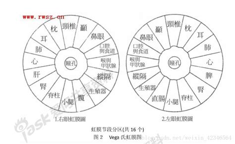 【虹膜识别】 【开源代码】虹膜识别 步骤讲解及算法复现，虹膜表征：基于虹膜反映点的健康监测 虹膜识别算法 csdn博客