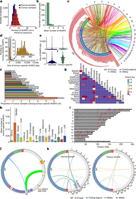 numts in human cancers a average number of numts detected per normal