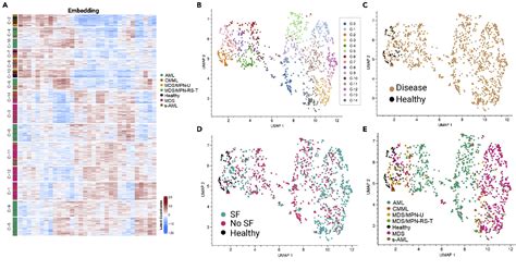 Figure 2 From A Multimodal Analysis Of Genomic And Rna Splicing