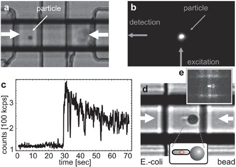 Optical Interrogation Of Trapped Particles Fluorescence Detection Of