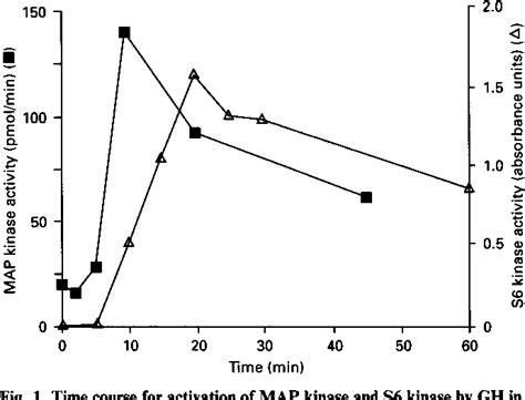 Figure 1 From Growth Hormone Activates Mitogen Activated Protein Kinase And S6 Kinase And