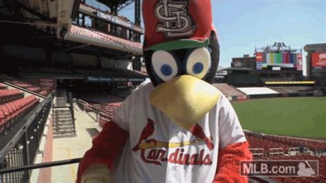 Baseball Cardinals S Get The Best  On Giphy