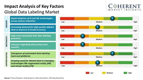 Data Labeling Market Trends Share And Forecast 2025 2032