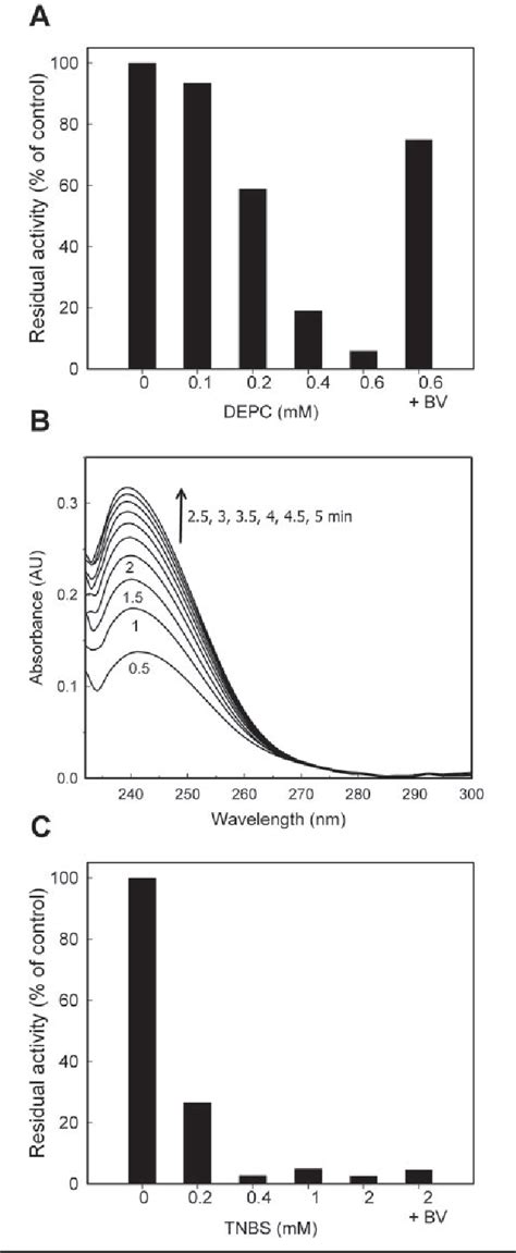 Figure 3 From A Conserved Histidine Aspartate Pair Is Required For Exovinyl Reduction Of