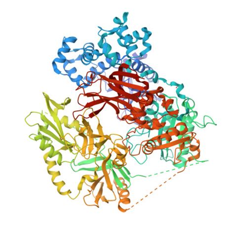 Rcsb Pdb 8t7c Crystal Structure Of Human Phospholipase C Gamma 2