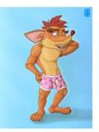 Post Crash Bandicoot Crash Bandicoot Series Geowolf