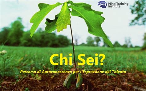 Miti Mti Mind Training Institute