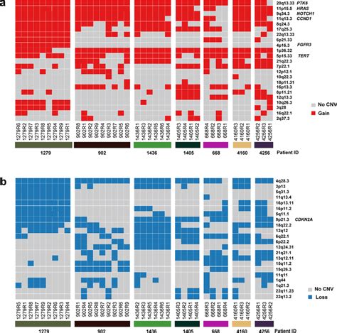 ITH Of CNVs In Seven GBC Patients A B Heat Map Of Cytoband Level Copy