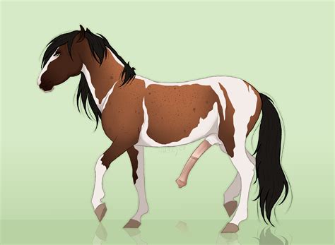 Rule 34 Animal Genitalia Animal Penis Black Mane Black Tail Brown