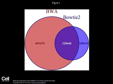 Volume 8 Issue 6 Pages June 2015 Ppt Download