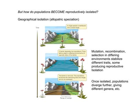 Speciation Pdf