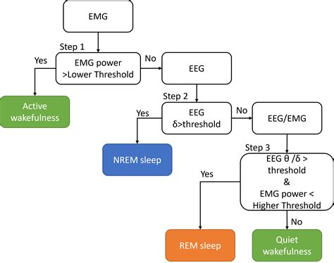 Github Li Shen Amyeegsleep Matlab Code For Sleep Cycle Analysis From Eeg Signals
