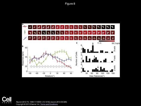 Medial Axis Shape Coding In Macaque Inferotemporal Cortex Ppt Download