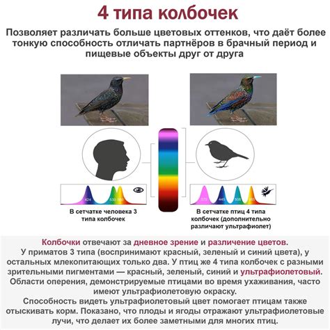 Биология ЕГЭ ОГЭ В группе будут полезные подборки заданий теория которая не умещается в