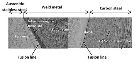 Macrostructure Of Multi Pass Welding δ Ferrite Along The Base Material