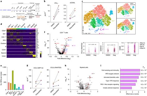Single Cell RNA Seq Analysis Of Vaginal Tissues Stimulated Ex Vivo With Download Scientific