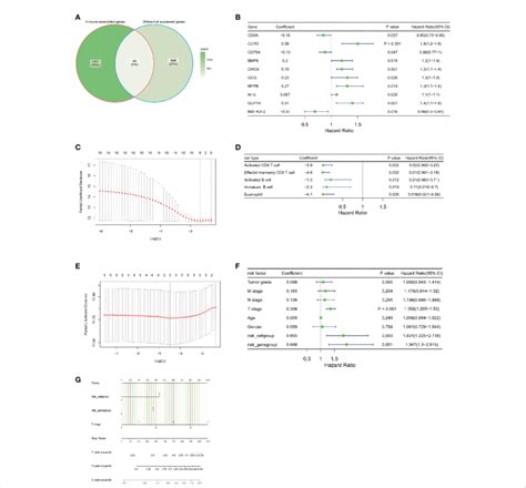 Construction Of The Prognostic Immune Clinical And Pathological Model Download Scientific