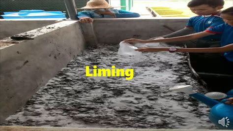 Composting Pptx