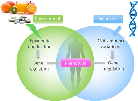 UNIT Inheritance Genetics