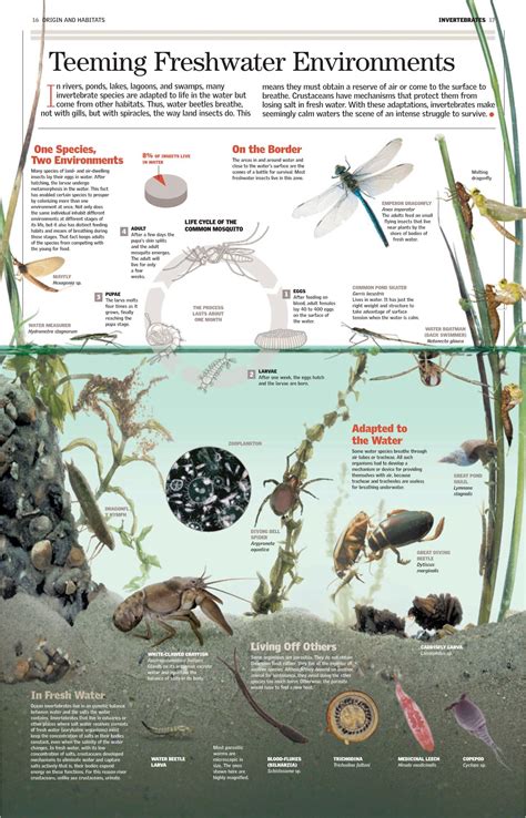 Britannica Invertebrates 儿童英语图书馆