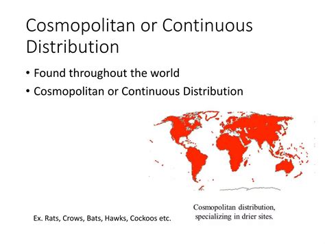 Animal Distribution On Earth Pptx