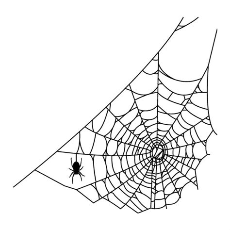 Small Spider Spider Web Svg Silhouette Inspire Uplift