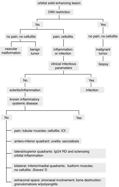 decision tree in an orbital solid enhancing lesion ioi idiopathic