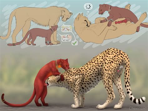 Rule 34 2020 43 Animal Genitalia Animal Penis Balls Between Legs Black Spots Cheepard