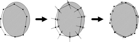 segmentation procedure with the active shape model for one iteration