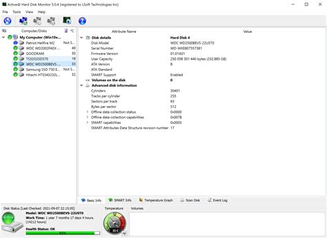 Active Hard Disk Monitor Professional Overview