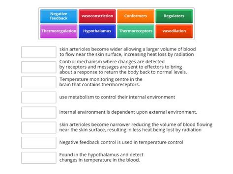 Conformers And Regulators Match Up