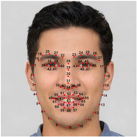 Developing A Direct Driver Sleepiness Detection System Nss