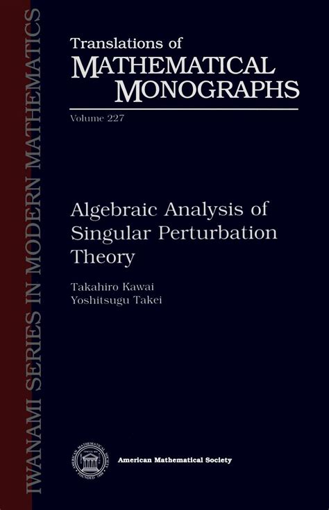 Algebraic Analysis Of Singular Perturbation Theory