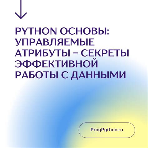 Python Основы управляемые атрибуты секреты эффективной работы с данными