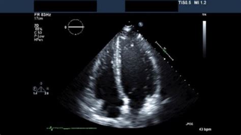 Medical Imaging Toolbox MATLAB