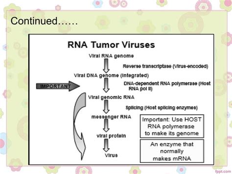 Viral Oncogenesis Ppt