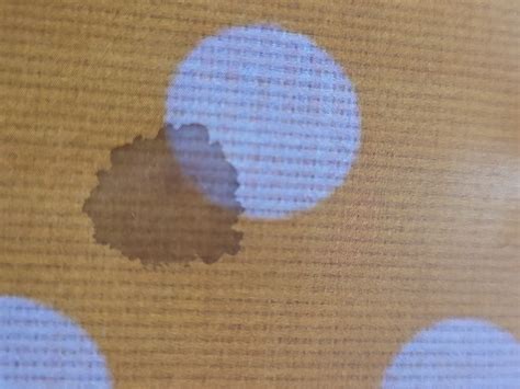 Stain Classification Object Detection Model By Swu