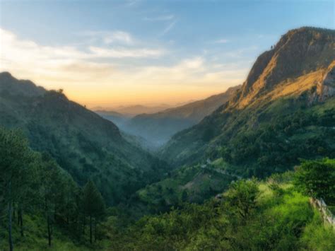 75 Years What Have They Done It Is A Paradise Misplaced By Captain Elmo Jayawardena Elanka