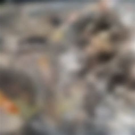 Understanding Comprehensive Treatment Protocols