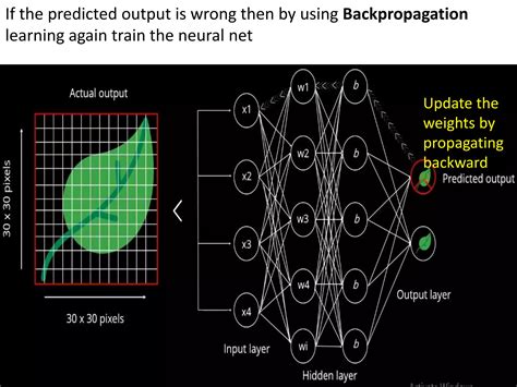 Artifical Neural Network And Its Applications Pptx