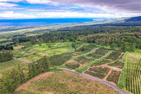 Lot 48 Moaula Pahala Hi 96777 Zillow