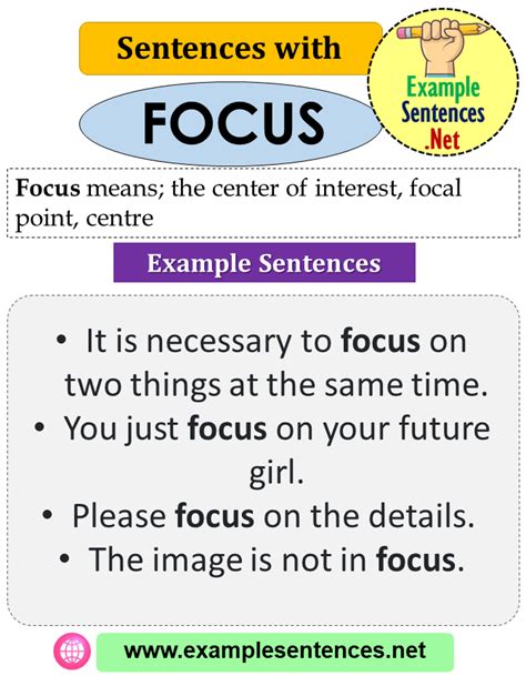 sentences with focus definition and example sentences example sentences