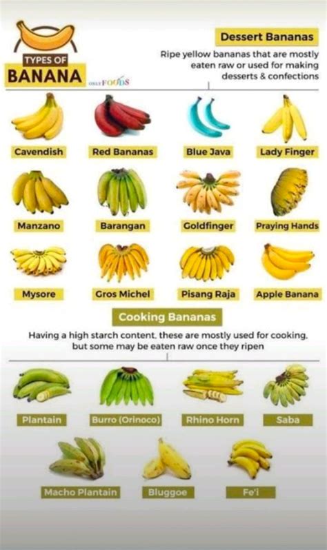 Types Of Banana Cooking Bananas Fruits And Vegetables List Banana Types