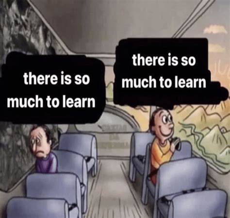 so much to learn r programmerhumor