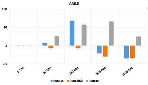 Analysis Of The Expression Of Aml1 Isoforms In Aml3 Cells Treated With