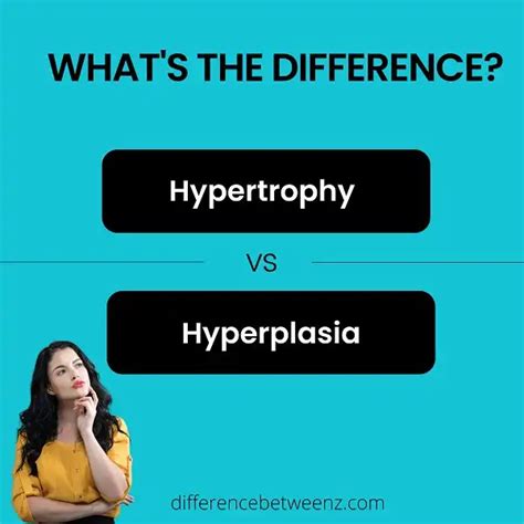 Difference Between Hypertrophy And Hyperplasia Difference Betweenz