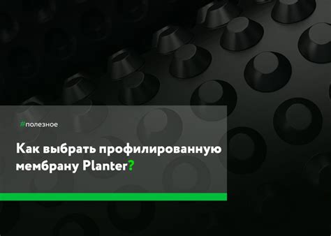 Standard Eco Extra Geo… Есть разные виды профилированных мембран Planter одни лучше подходят