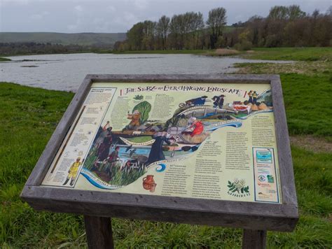 Mapping The Cockshut Stream With Stories Of Survival Helen Cann News